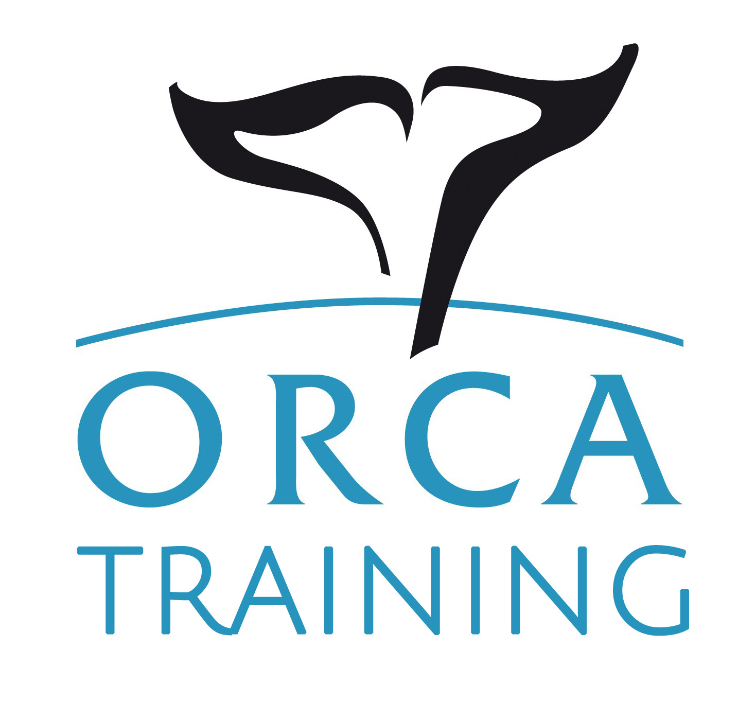 ORCA-Training